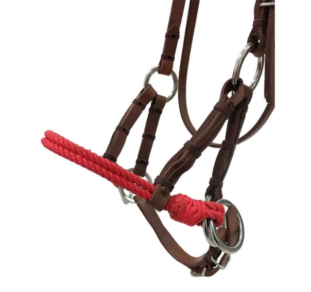 Side Pull Indiana Ranch 10217 - Crisecia